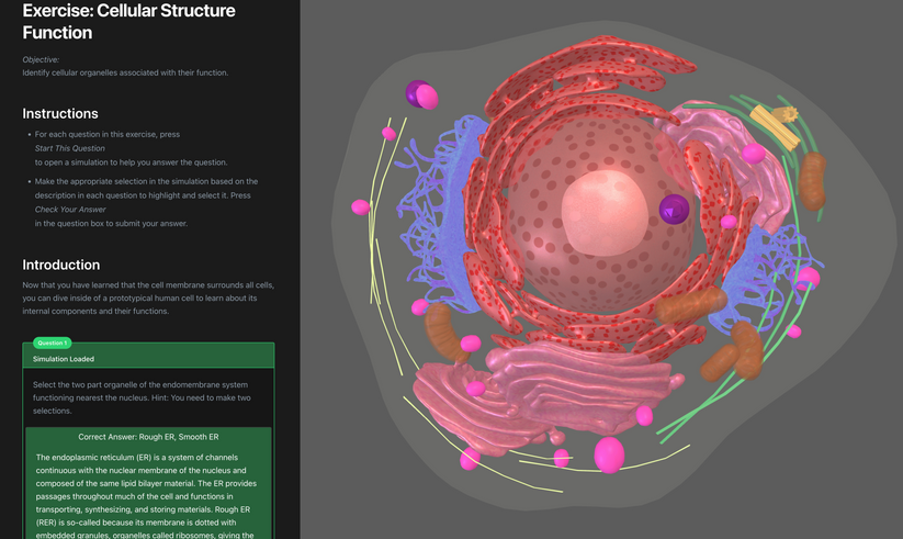 Simulation Curriculum Anatomy and Physiology Digital Textbook Classroom ...