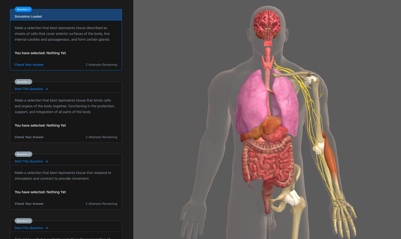 Simulation Curriculum Anatomy and Physiology Digital Textbook Classroom ...